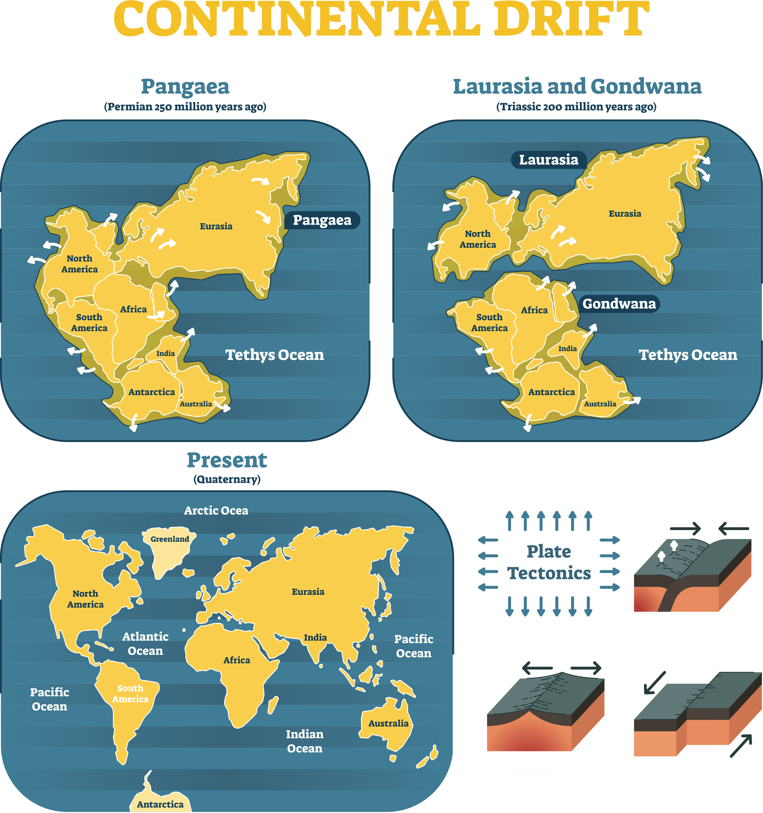Plate Tectonics Theory Convection Currents And Sea floor Spreading A Plate Tectonics Theory Convection Currents And Sea floor Spreading A