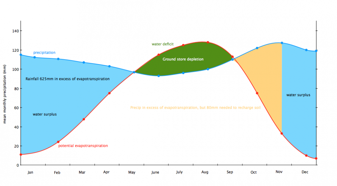 Water Balance | A Level Geography