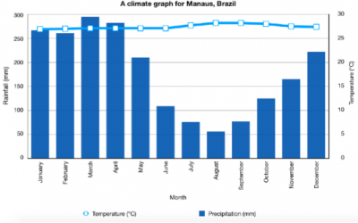 Characteristics of the Tropical Equatorial Rainforest | A Level Geography