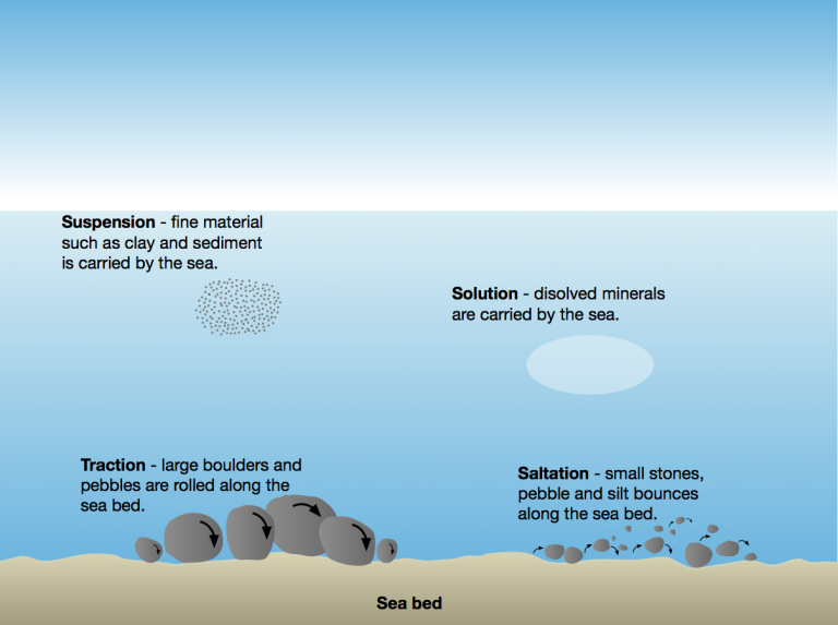 Marine Processes | A Level Geography